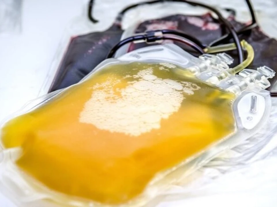 Record plasma donations in Italy reach new high in 2025